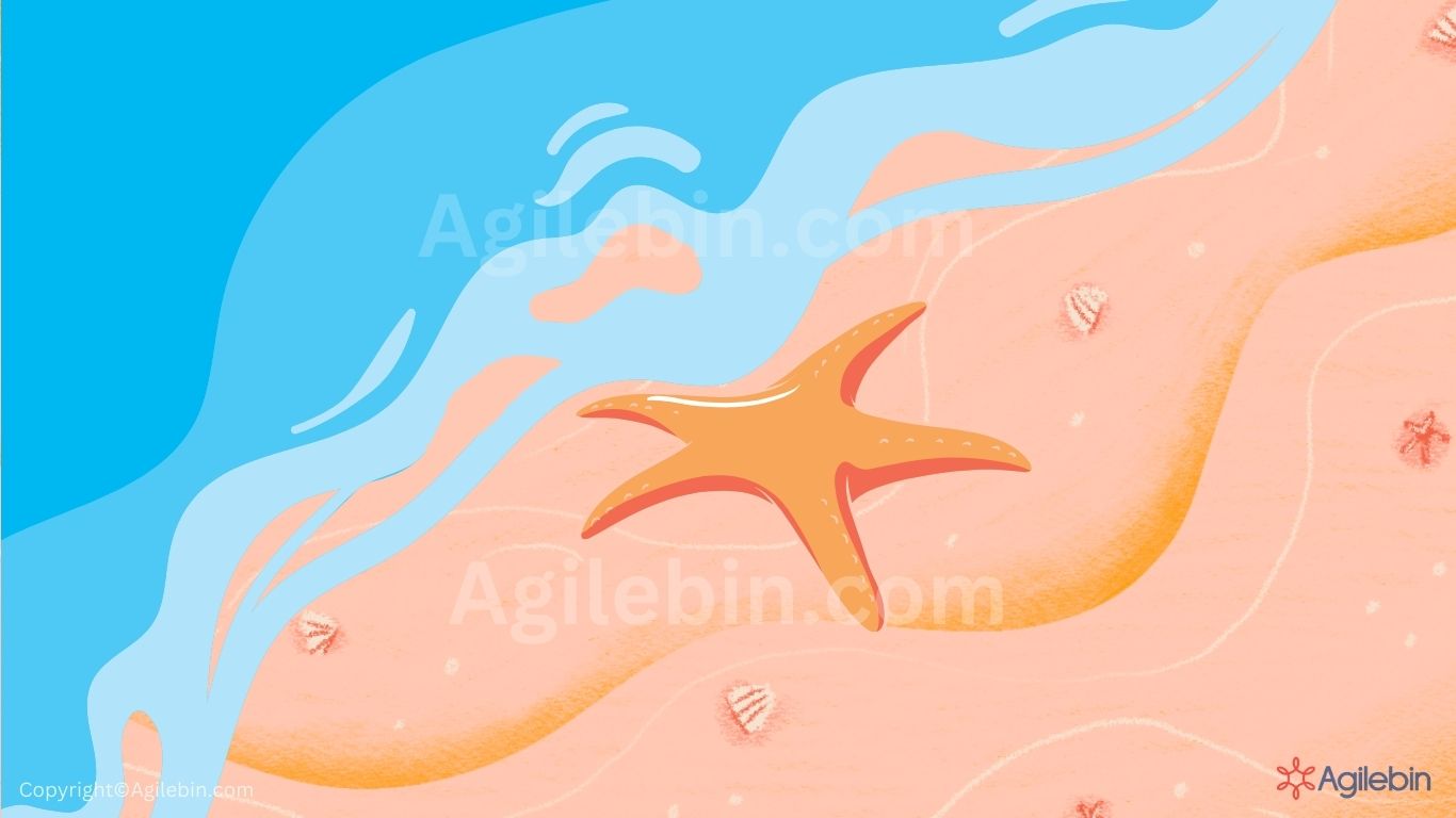 Starfish Retrospective | Agilebin Starfish Retrospective | Agilebin